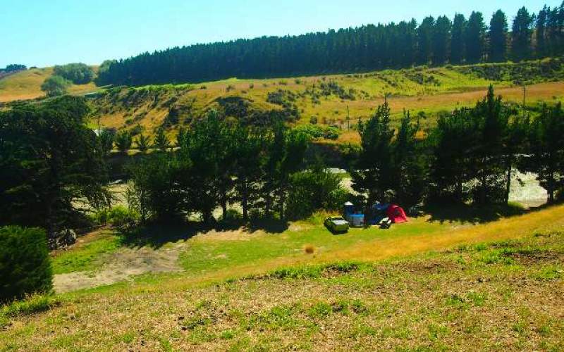 Motunau Beach Camp | Freedom/Basic Camp | New Zealand